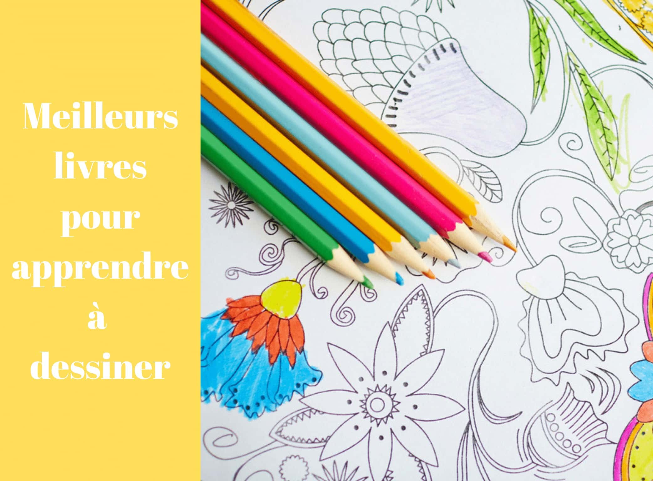 Les 6 Meilleurs livres pour apprendre à dessiner